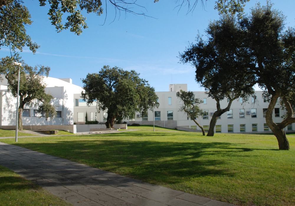 Provas Públicas de CTeSP – Escola Superior de Ciências Empresariais ...